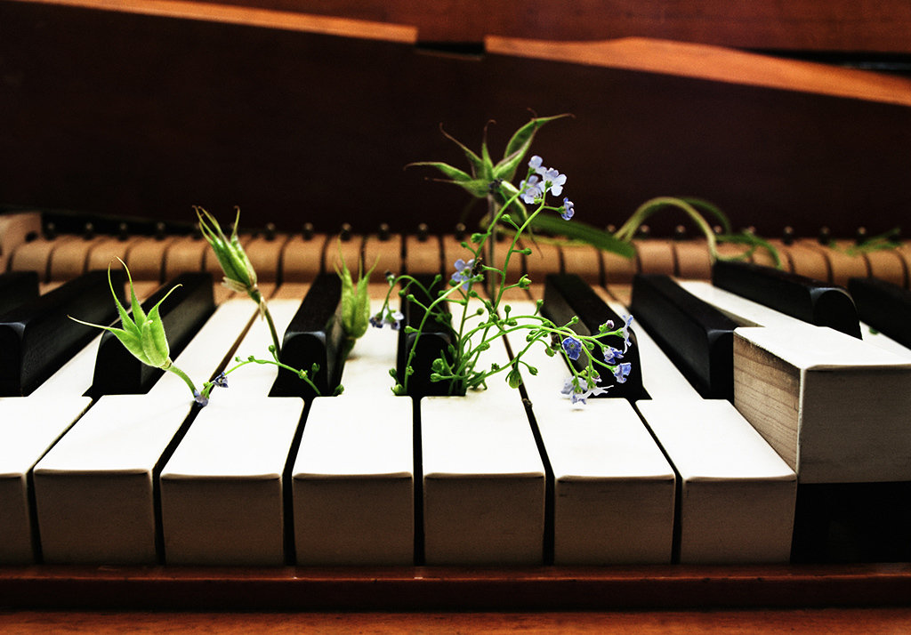 NMH | Storsatsing på musikkterapiforskning og demens